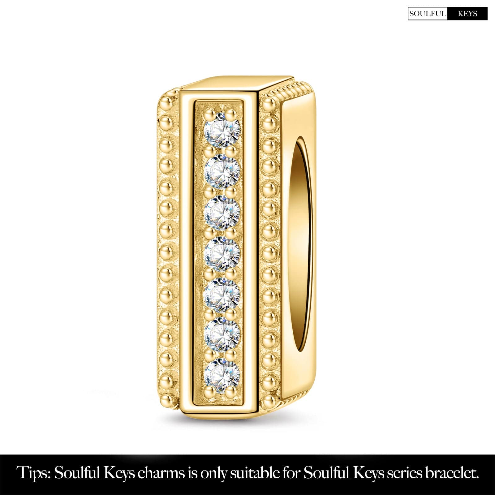 TARNISH-RESISTANT SILVER RECTANGULAR CHARMS CLIPS IN 14K GOLD PLATED – GONA